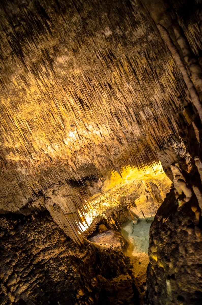 The Magical Dragon Caves of Majorca – The Wallflower Wanderer