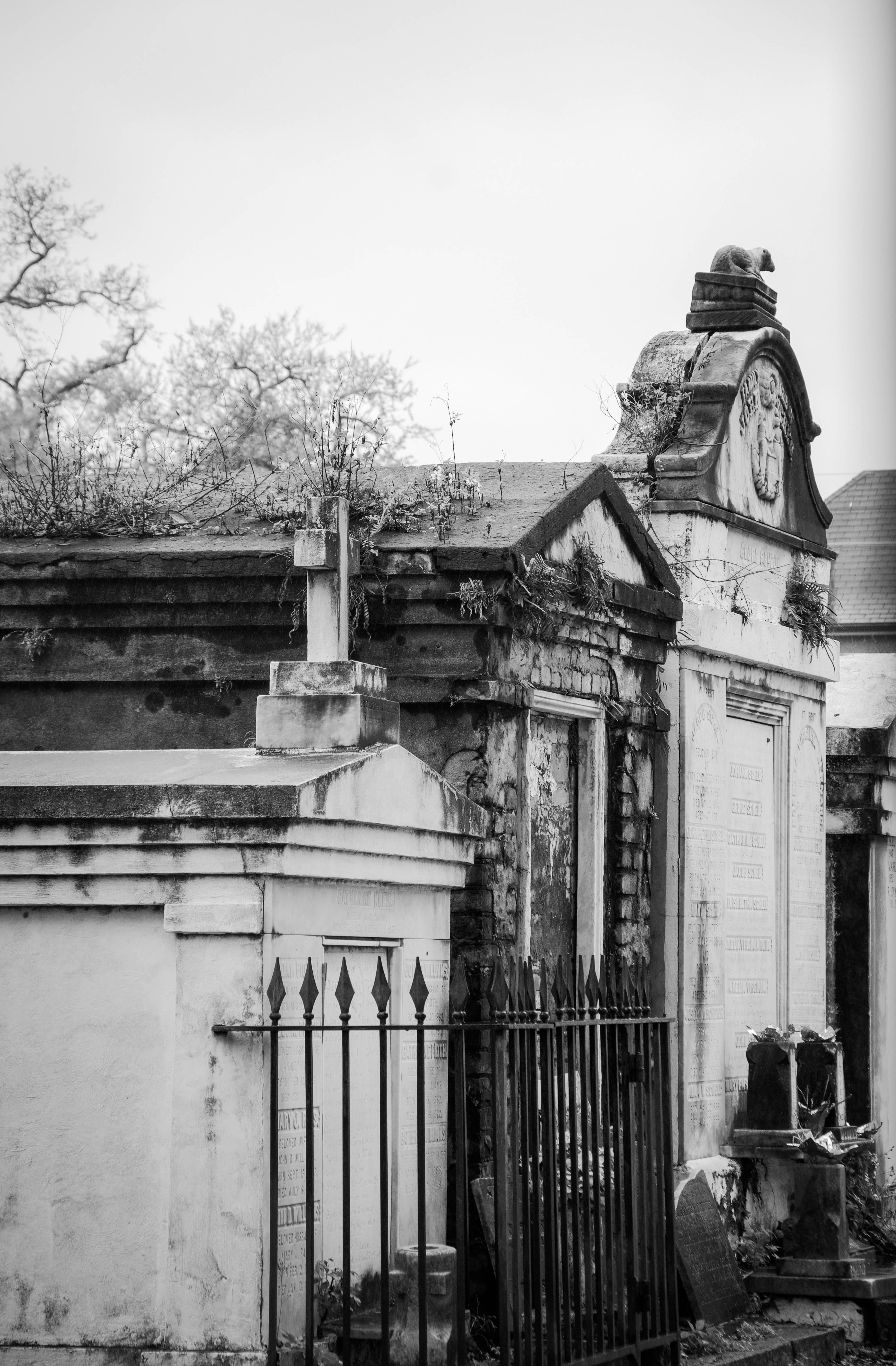 The Spirit of New Orleans – The Wallflower Wanderer